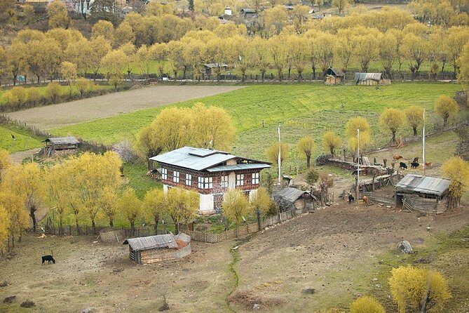 Bhutan Family Vacation With Cultural Tour - A Detailed Look at the Itinerary