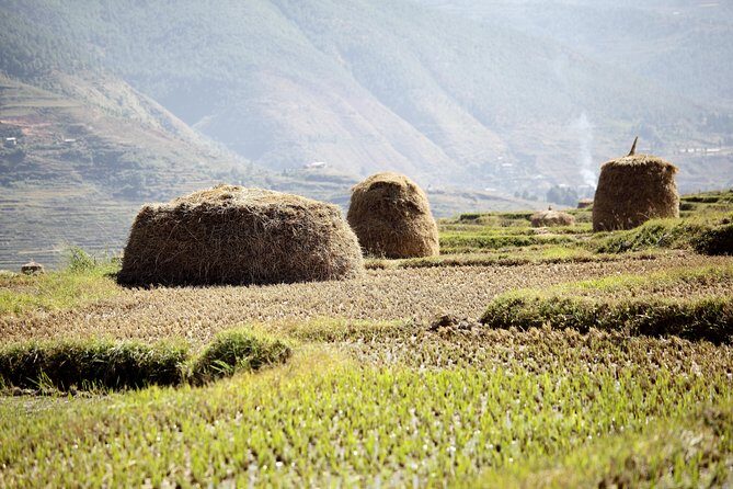 Bhutan Spiritual & Wellness Tour Package With Monastic Stay - Exploring the Bhutan Spiritual & Wellness Tour Package With Monastic Stay