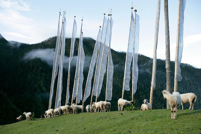 Bhutan-The Kingdom in the Sky ( 12 Nights 13 Days ) - Who Will Love This Tour?