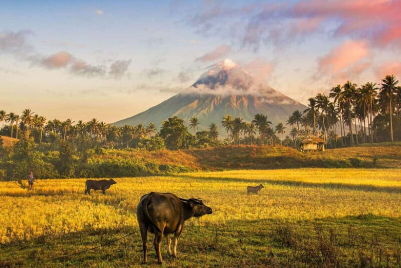 Bicol Mayon to Lava Front (Mayon Popular Destination) - The Practical Side: Prices, Duration, and Tips