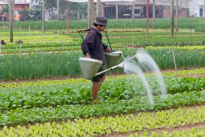 Bicycle experience countryside & cooking class in Hoi An - Hands-On Cooking at the Farm’s Kitchen