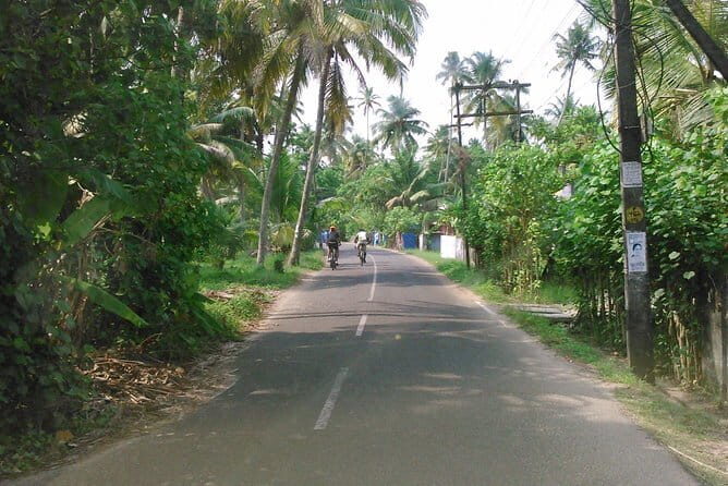 Bicycle & Houseboat Tour - The Sum Up