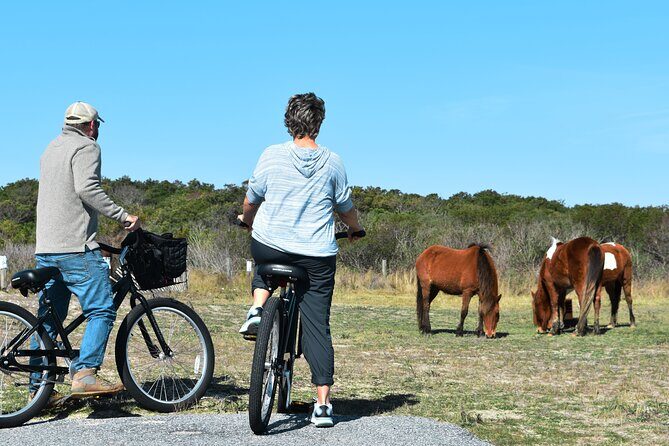 Bicycle Rental from Visitor Center location at Assateague, MD - A Closer Look at the Bike Rental Experience at Assateague Island