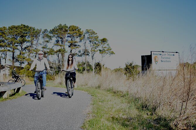 Bicycle Rental from Visitor Center location at Assateague, MD - Why It’s a Fantastic Way to Experience Assateague