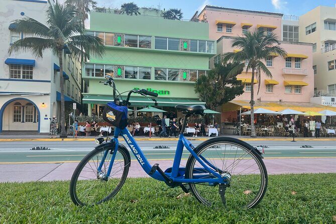 Bicycle Rental in Miami Beach - Why Consider the Bike Rental Experience?