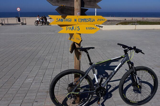 Bicycle rental in Porto for the Santiago de Compostela Road - What To Expect from This Bike Rental Service