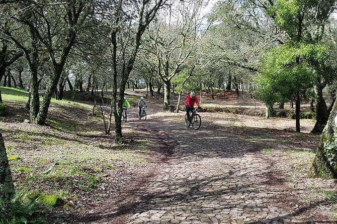 Bicycle rental in Porto for the Santiago de Compostela Road - The Route: A Closer Look