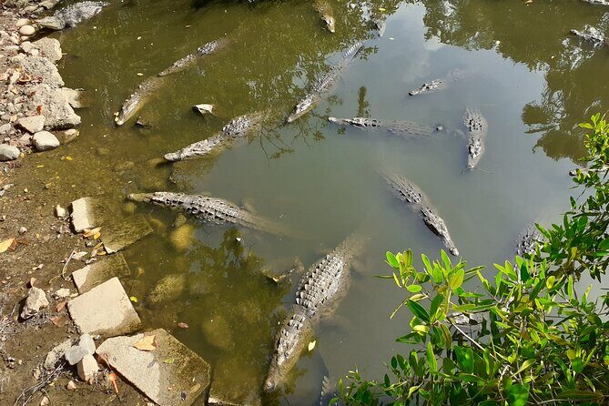 Bicycle Tour in Ixtapa - Whats Included and What to Expect