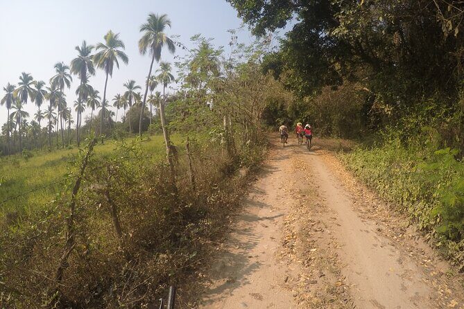 Bicycle Tour in Ixtapa - Practicalities and Value