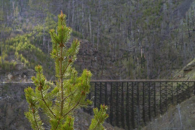 Bicyle Tour on Historical Kettle Valley Railway from Myra Canyon to Penticton - FAQ: Practical Questions About the Kettle Valley Railway Bike Tour