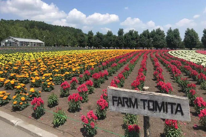 [Biei/Furano] One-day sightseeing by private car! - The Practicalities