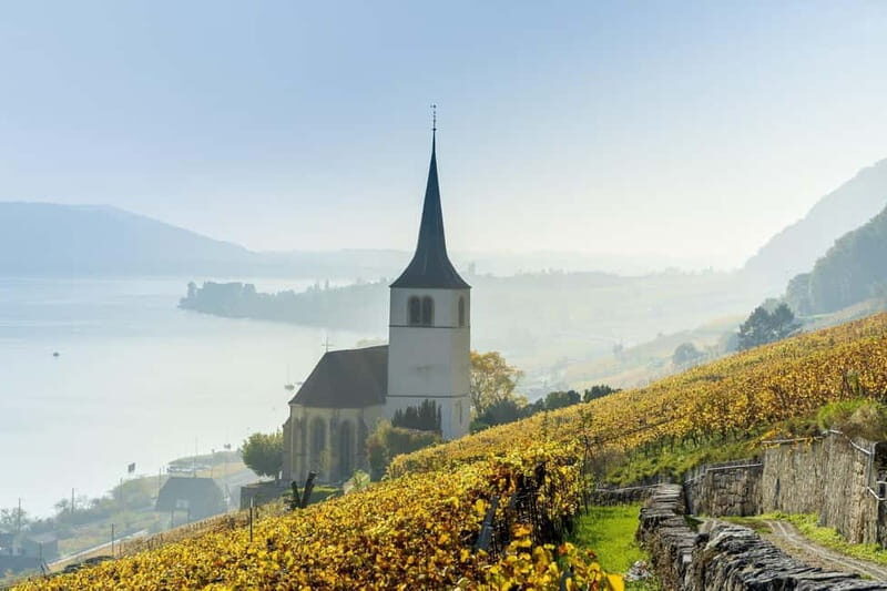 Biel/Bienne: Private Guided City Tour - Practicalities and What You Should Know