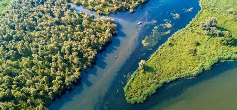 Biesbosch: Boat Cruise through National Park - An In-Depth Look at the Biesbosch Boat Cruise