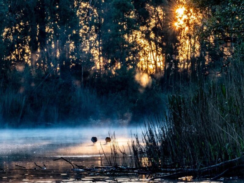 Biesbosch: Boat Cruise through National Park - FAQ