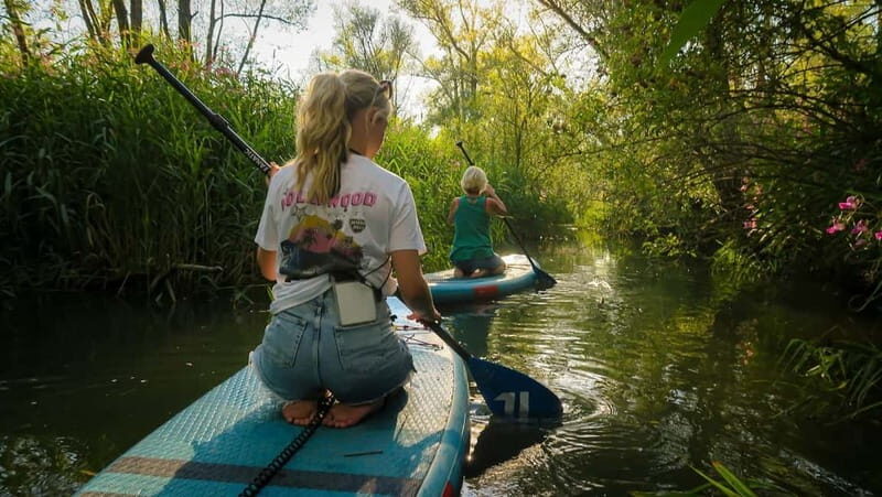 Biesbosch: SUP Board Rental - A Practical Guide to Your SUP Adventure in Biesbosch