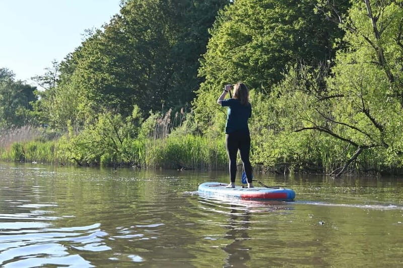 Biesbosch: SUP Board Rental - How to Make the Most of Your SUP Experience