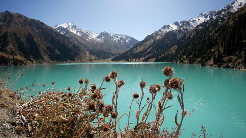 Big Almaty Lake, Ayusai Waterfall & Falcon Farm Experience - Key Points