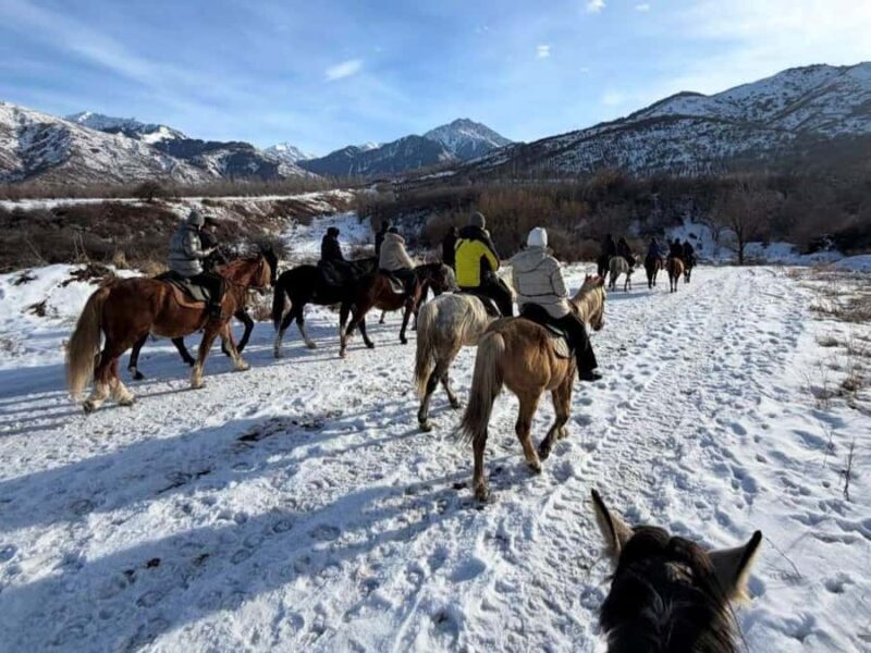 Big Almaty Lake with Horseback Riding Day Tour - Who Should Consider This Tour?
