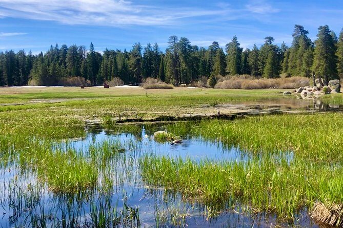 Big Bear Jeep off-road tour with Hike to Bluff Lake Reserve - Exploring the Itinerary in Detail