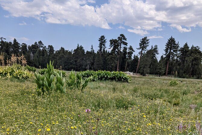 Big Bear Jeep off-road tour with Hike to Bluff Lake Reserve - Frequently Asked Questions