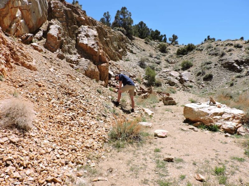 Big Bear Lake: From seafloor to mountain, the story of gold - An Informative and Practical Journey Through Time and Nature