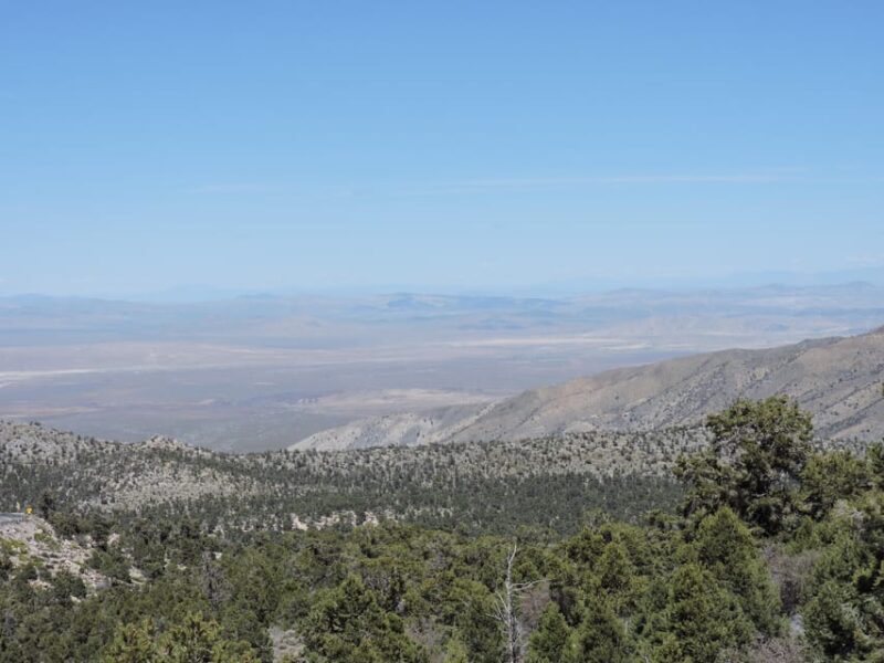 Big Bear Lake: From seafloor to mountain, the story of gold - The Sum Up