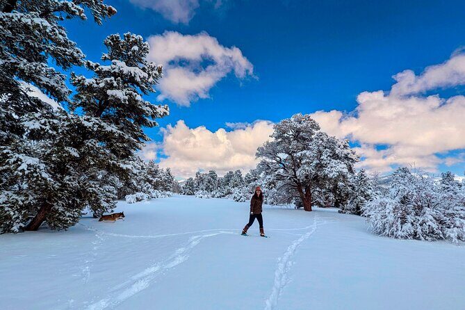 Big Bear Lake Snow Play Adventure - The Sum Up