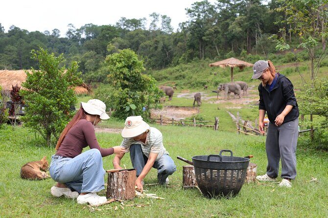 Big Boy Elephant Sanctuary Half Day Tour + Pad Thai Cooking Class - The Cooking Class: A Cultural Highlight