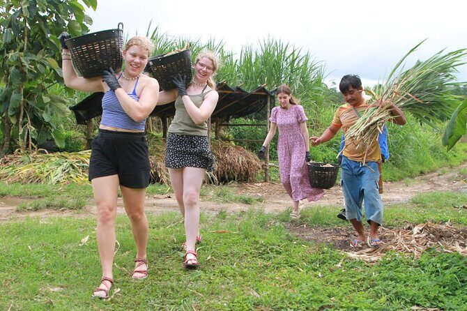 Big Boy Elephant Sanctuary Half Day Tour + Pad Thai Cooking Class - Summary of the Experience