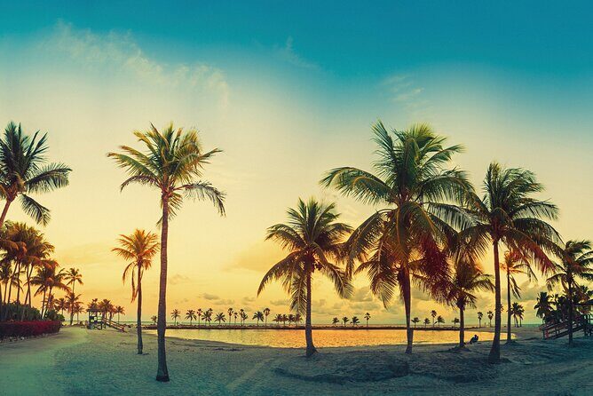 Big Bus Miami: Sightseeing Night Tour by Open-top Bus - An In-Depth Look at the Miami Night Tour Experience