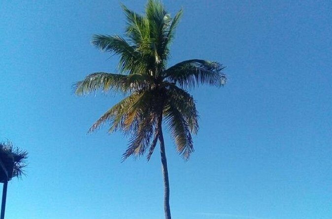 Big Bus Private Tour (minimum of 15) - Final Thoughts: Is It Worth It?