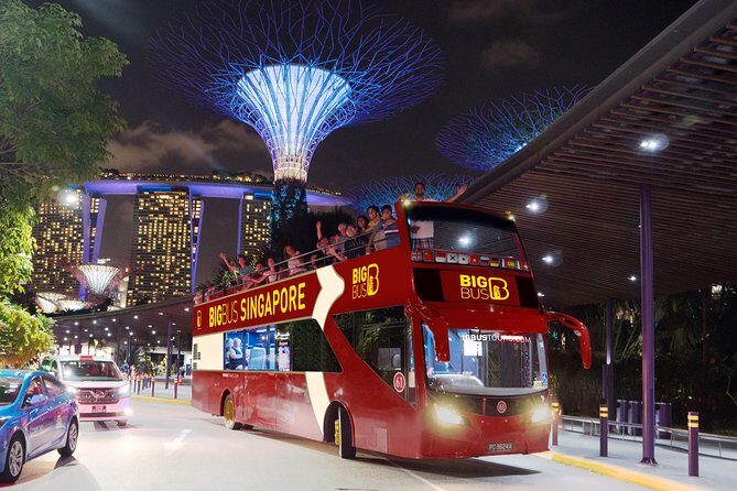 Big Bus Singapore Night Tour with Gardens by the Bay Light Show - What’s Included and What to Keep in Mind
