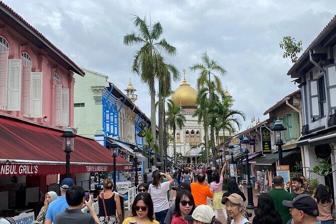 Big Bus Van Singapore City Tour 4 Hours ( Max 8 people) - Key Points