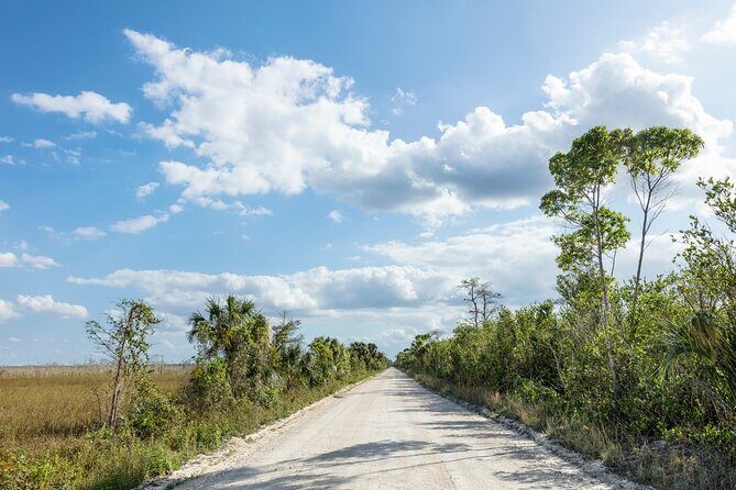Big Cypress National Preserve Audio Tour Guide - The Experience Breakdown: Exploring Big Cypress with an Audio Guide