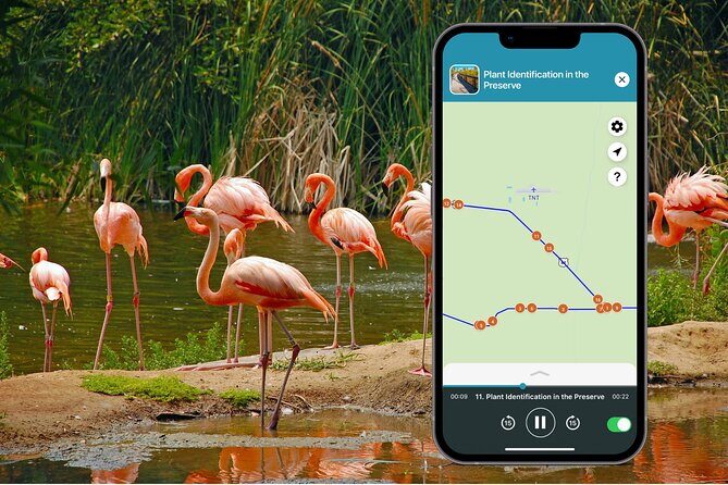 Big Cypress National Preserve Audio Tour Guide - Final Thoughts