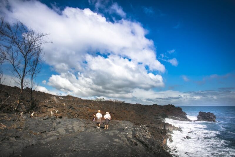 Big Hawaii: Private Guided Van Tour - FAQ