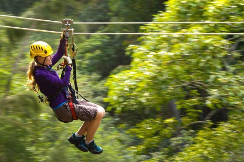 Big Island: 3-Hour Kohala Canopy Zipline Adventure - An In-Depth Look at the Kohala Canopy Zipline Adventure