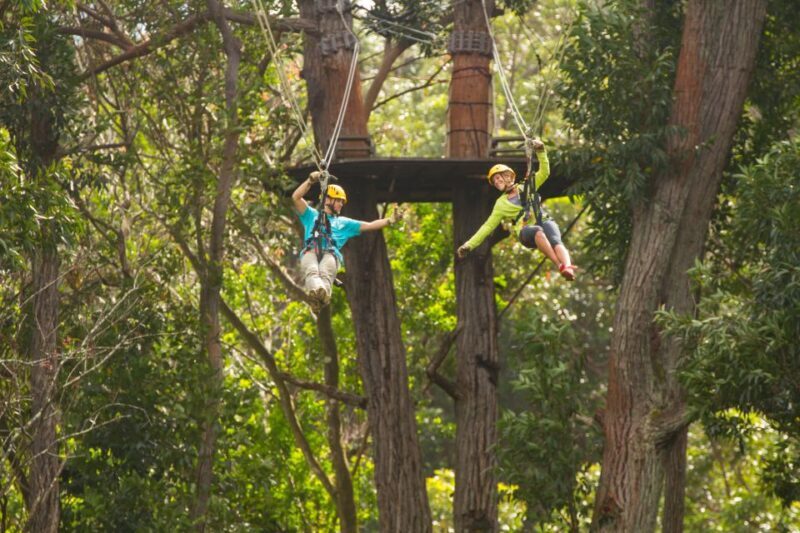 Big Island: 3-Hour Kohala Canopy Zipline Adventure - The Real Reviews: Authentic Perspectives from Travelers