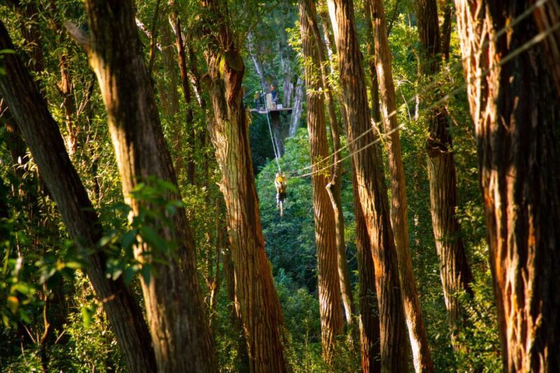 Big Island: 3-Hour Kohala Canopy Zipline Adventure - Frequently Asked Questions