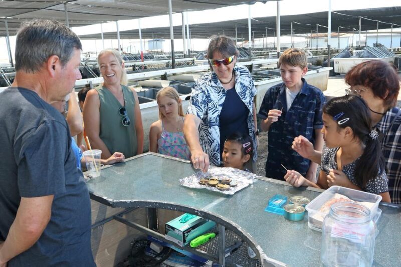 Big Island: Abalone Farm Guided Tour with Tasting - Setting the Scene: What to Expect on the Tour