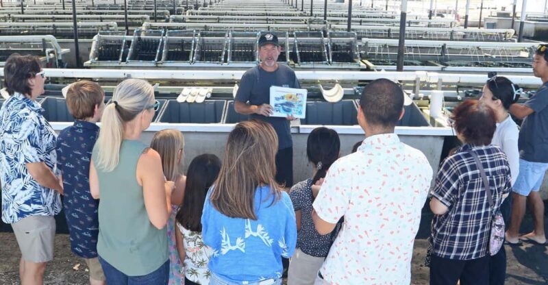 Big Island: Abalone Farm Guided Tour with Tasting - Authenticity and Value: What Makes This Tour Worthwhile?