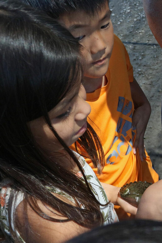Big Island: Abalone Farm Guided Tour with Tasting - Authenticity, Sustainability, and Fun