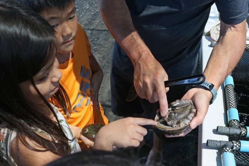 Big Island: Abalone Farm Guided Tour with Tasting - FAQ