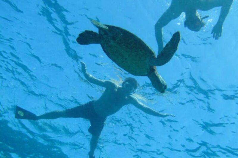 Big Island: Captain Cook Sightseeing & Snorkel Expedition - FAQ