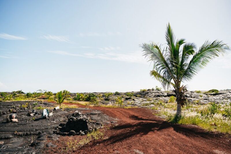 Big Island: Evening Volcano Explorer from Hilo - Final Thoughts: Who Will Love This Tour?