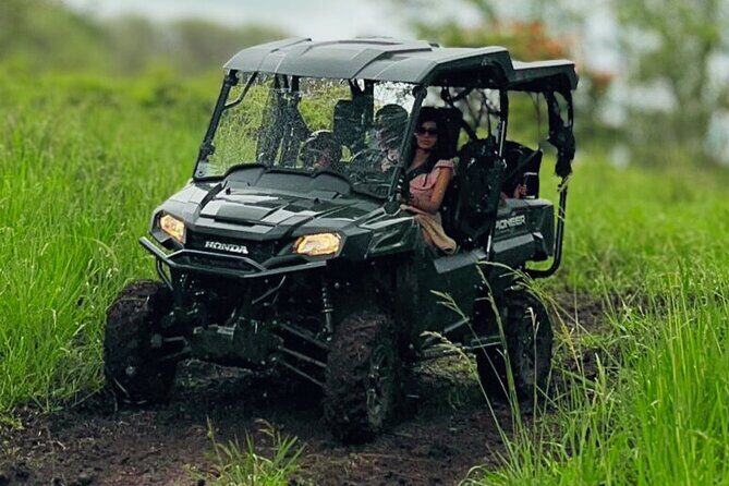 Big Island Family Off Road Farm Adventure - Big Island Family Off Road Farm Adventure Review: An Authentic Hawaiian Experience