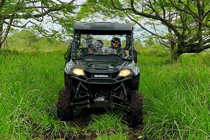 Big Island Family Off Road Farm Adventure - The Sum Up: Who Will Love This Tour?