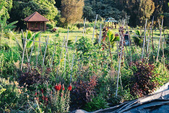 Big Island Farms Tour in Hawaii - The Meeting Point and Duration