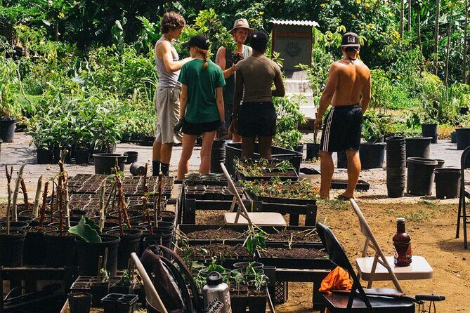 Big Island Farms Tour in Hawaii - Sampling Tropical Fruits & Herbs