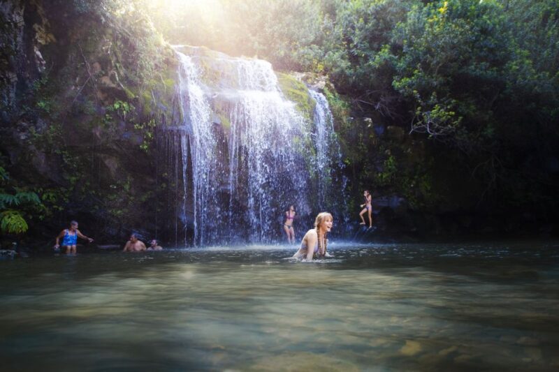 Big Island: Full Day Adventure Tour of the Kohala Waterfalls - Introduction